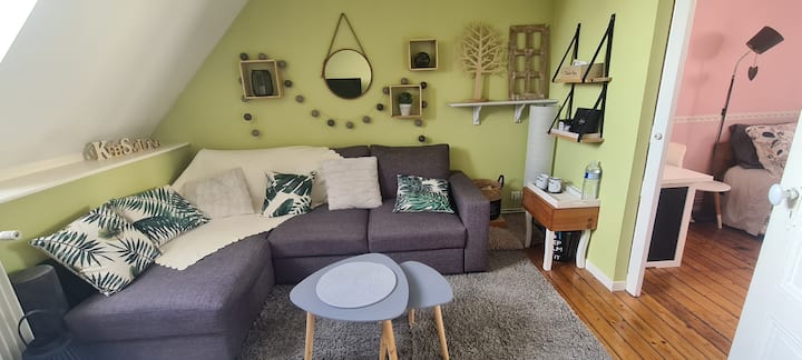 Chambre Spacieuse Avec Sdb Privée Centre Ville - Sochaux