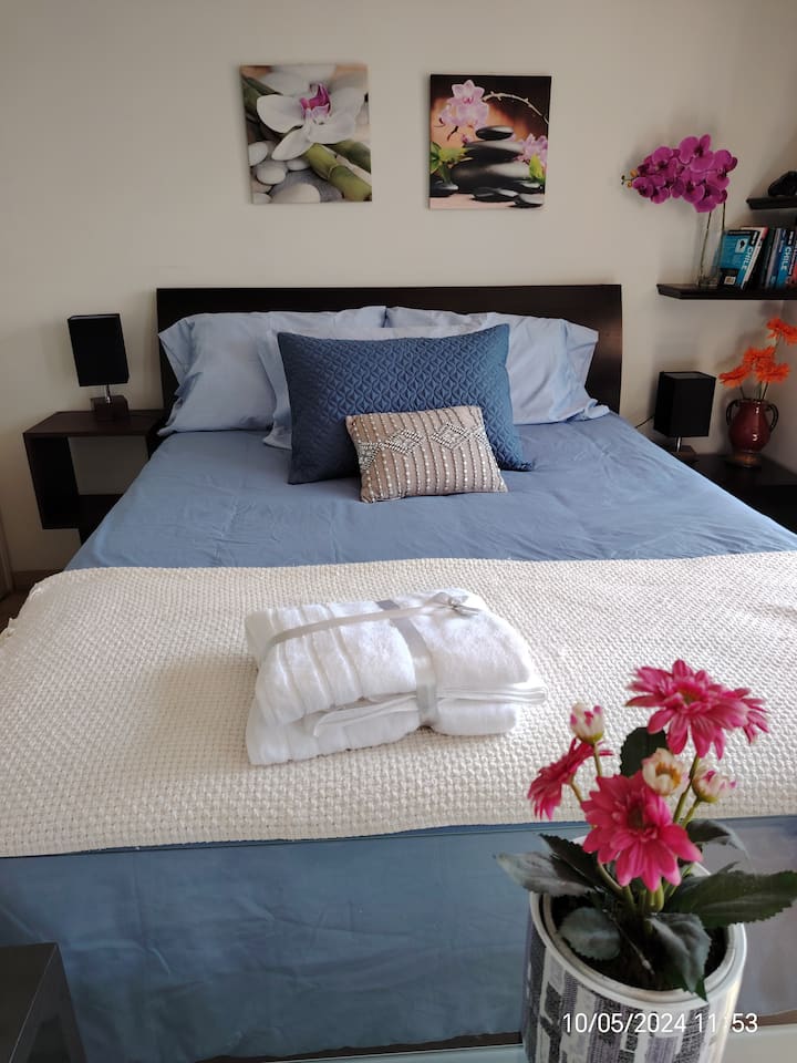 Workspace And A Bedroom With A View - Santiago (Chile)