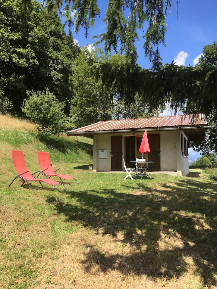 Le P'tit Chalet 
Face Au Mt Blanc - Combloux