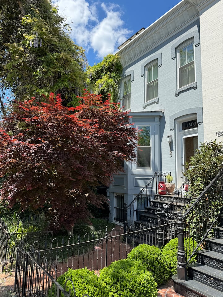 Charming Dupont English Basement - American University, Washington
