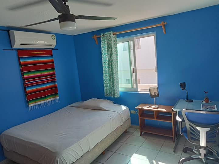 The Sky Room. 1 Bedroom For Rent. - San José del Cabo