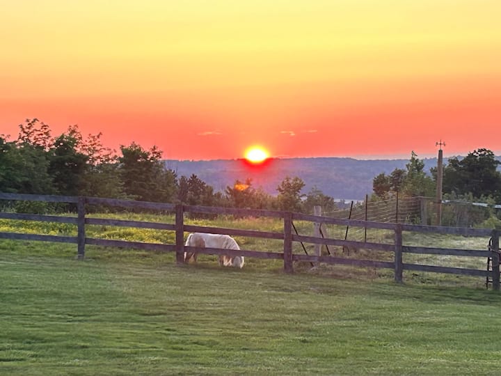 Luxury Suite By The City: Country Escape - Burlington