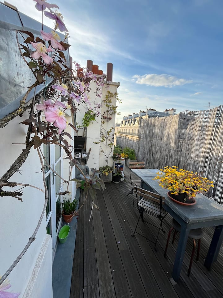 Grand Appartement Avec Terrasse - Paris