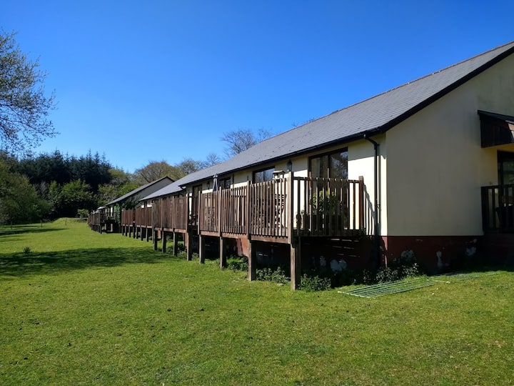 Wagtail Lodge At Blagdon Farm - Holsworthy