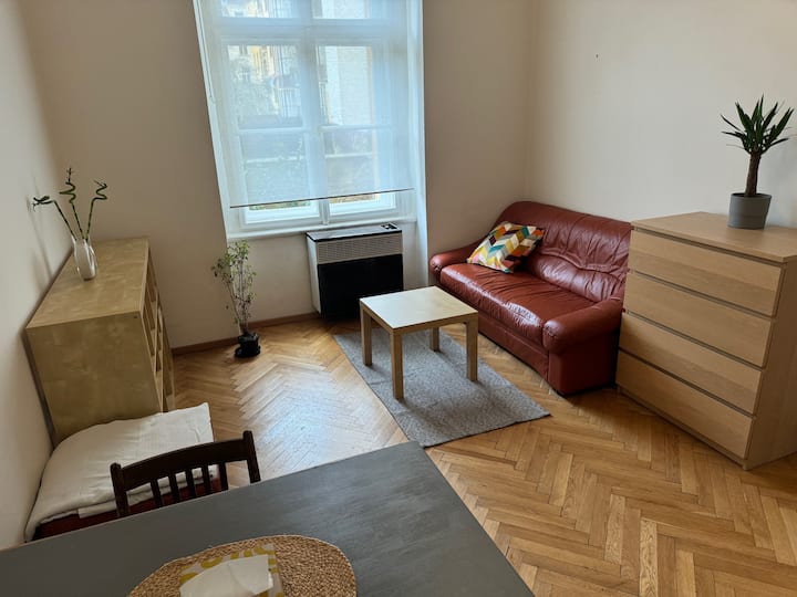 Apartment With 2 Rooms In A Quiet Part Of Center - Prag