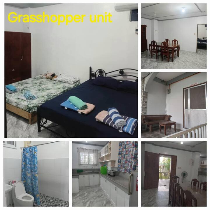 Estro's Place (Grashopper Unit) - San Fernando