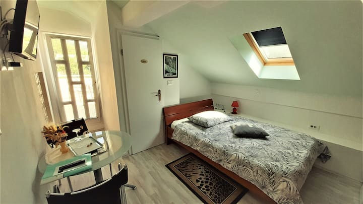 Sobe Silva ČIginj, Tolmin - Room Tolminka - Tolmin