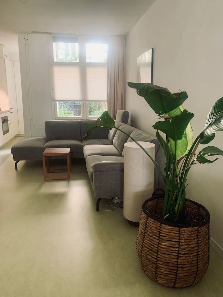 Beautiful Studio On Ground Floor In Westerpark - Amsterdam