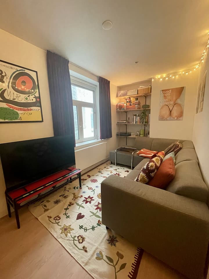 Spacious 2br Apartment Next To Museum District - Amsterdam