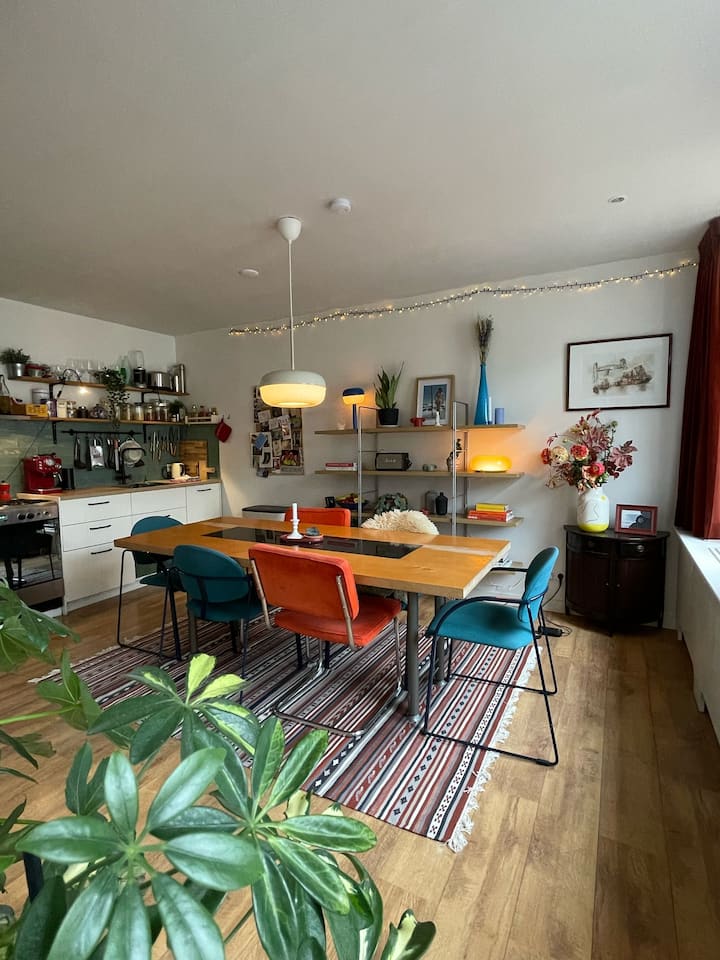 Spacious 2br Apartment Next To Museum District - Ámsterdam