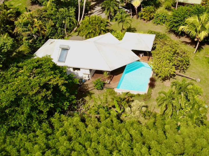 Piscine-jardin Tropical Plage, Proche Centre Ville - Guadeloupe
