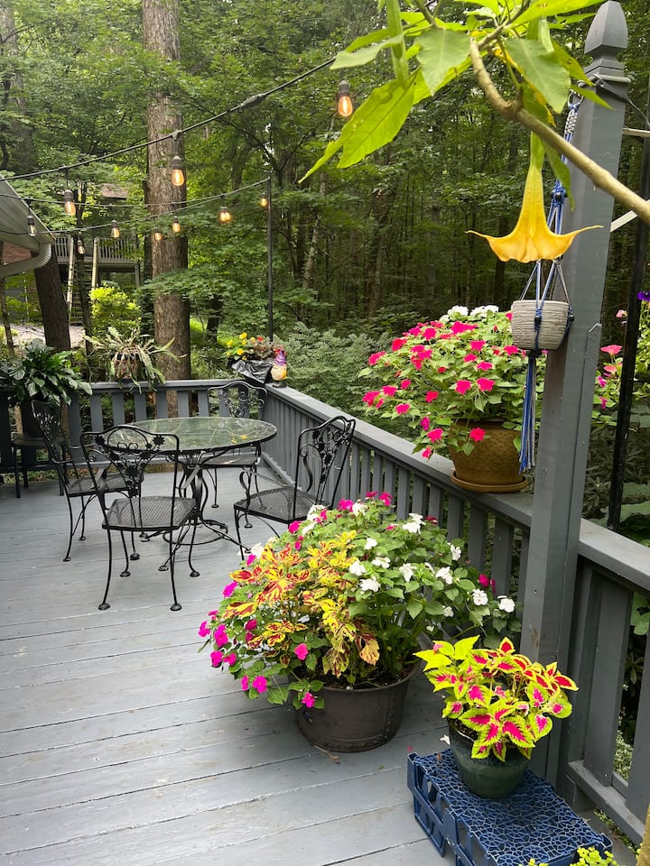 Basecamp-studio Apartment - Mountain Home, NC