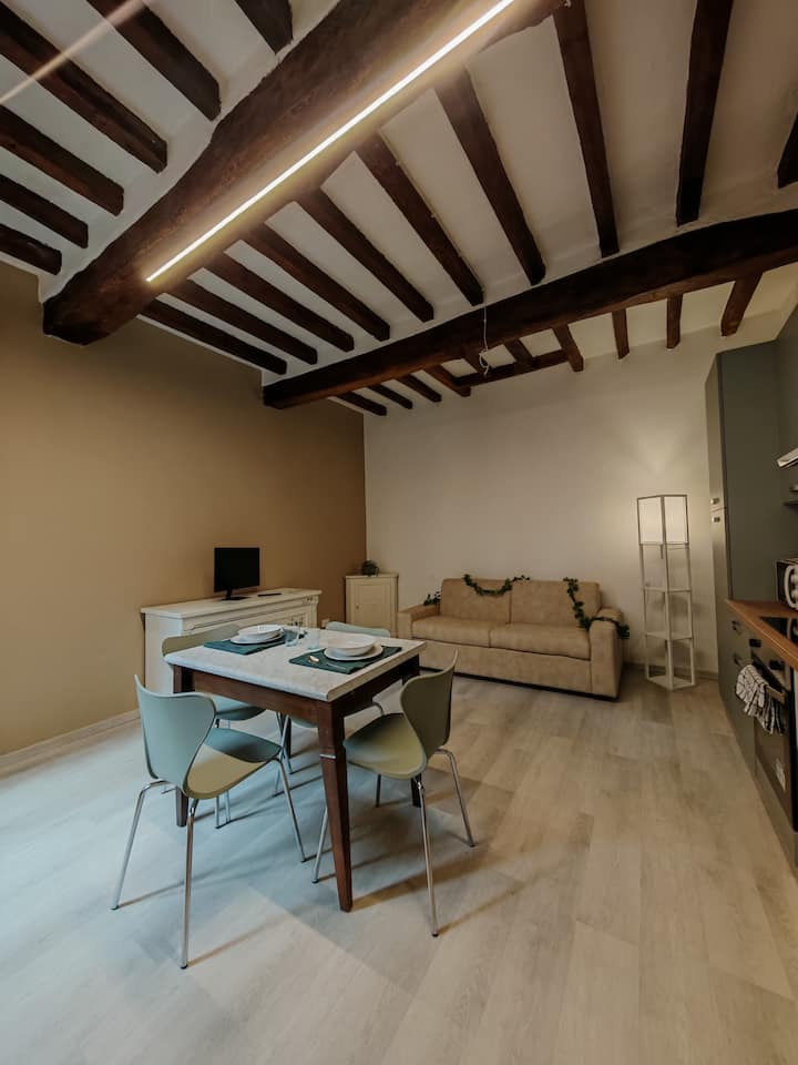 La Sosta-appartamento A Pochi Passi Dalla Stazione - Módena