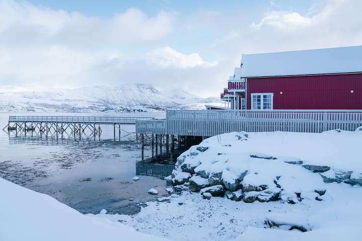 Seaside Cabins Near Tromsø | Northern Lights Views - Norway