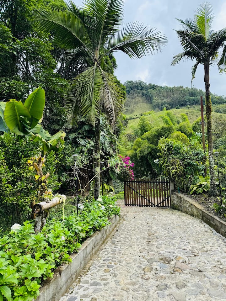 Cabaña Con Vistas, Senderos Y Naturaleza En Jardín - Támesis