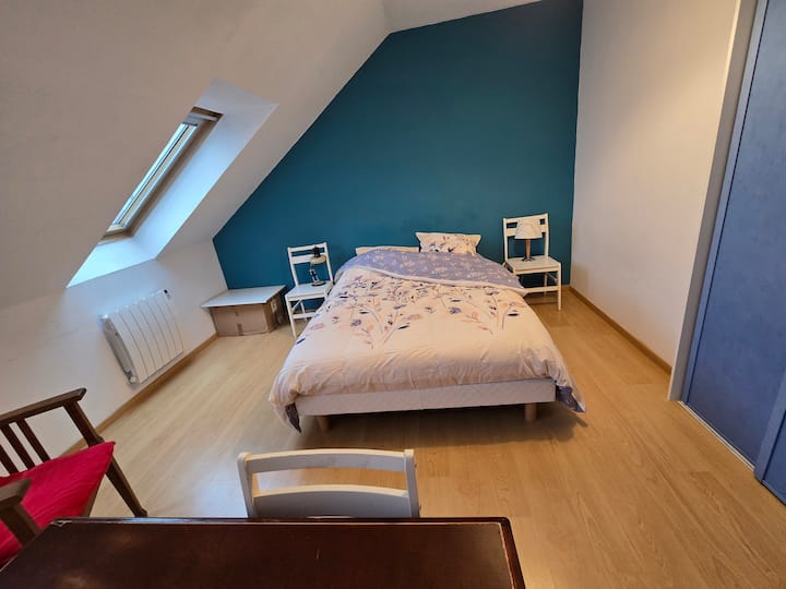 Chambre Privée Strasbourg - ストラスブール