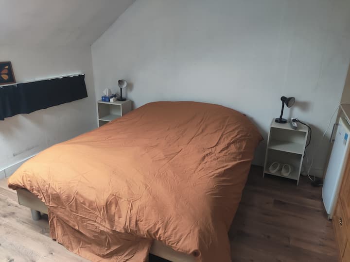 Nice Room 1 Near Euro Quarter, Parking Possible - Auderghem