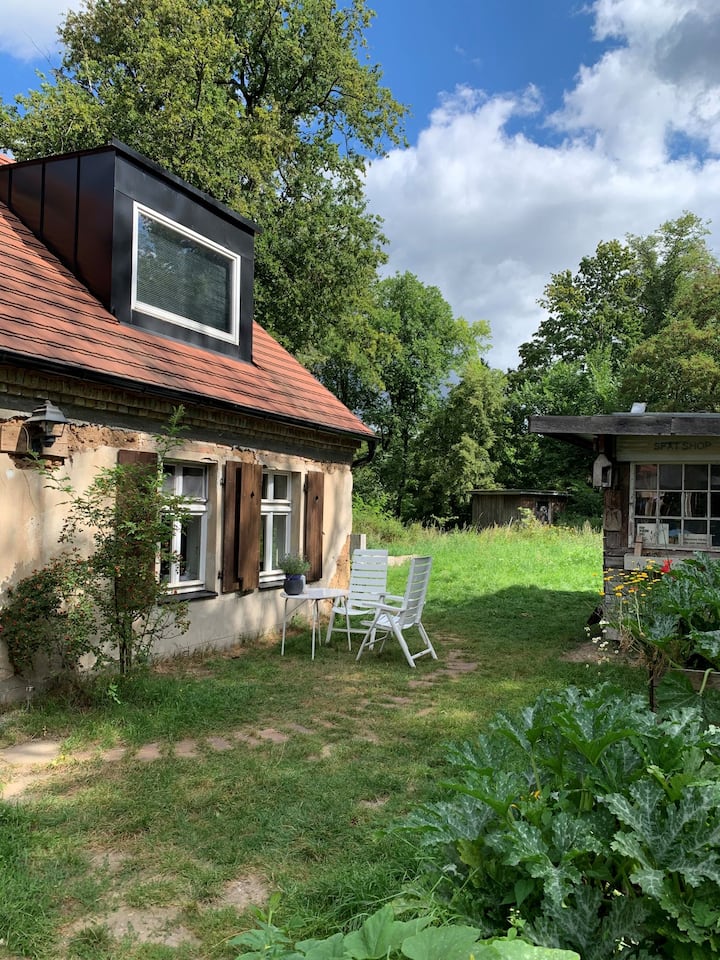 Berlin Wannsee Eule - Potsdam