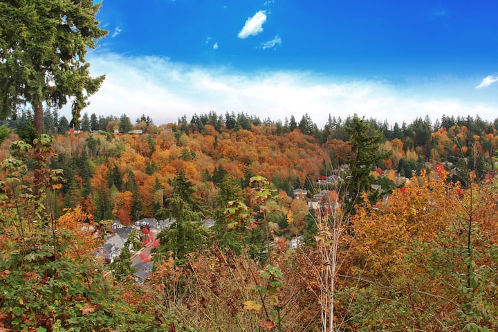 Your Seattle Adventure Starts Here: Long-term Stay - ボセル, WA