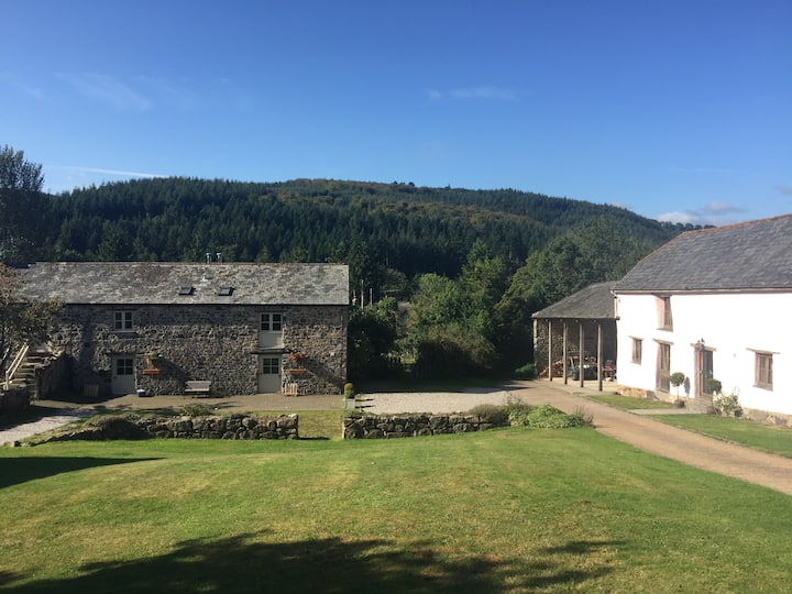 Butterdon-dartmoor Cottage Sleeps 5 - デボン