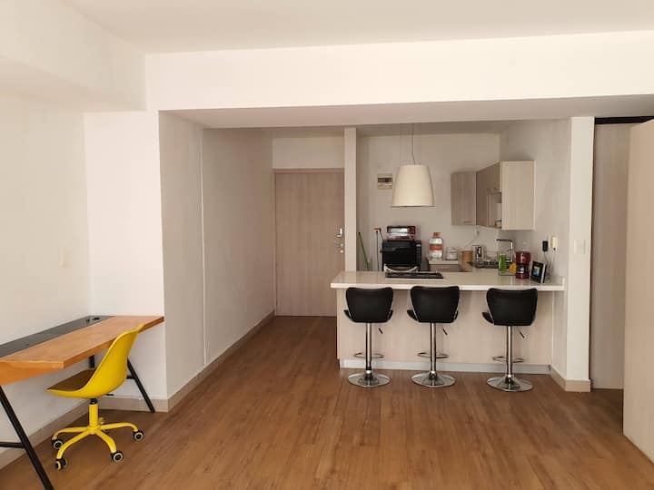 Nice Loft Just In Front Of Alameda Park - Mexico State