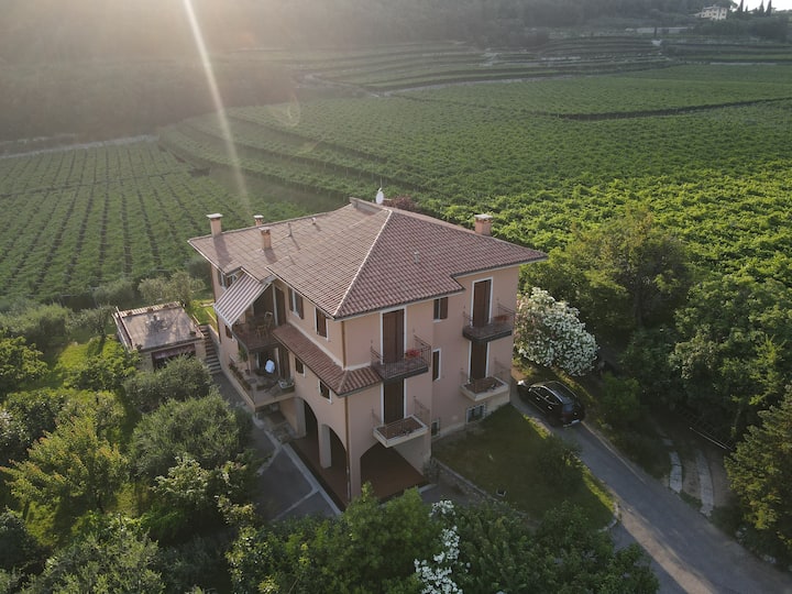 Jago Apartment In Valpolicella 15 Min From Verona - Bosco Chiesanuova