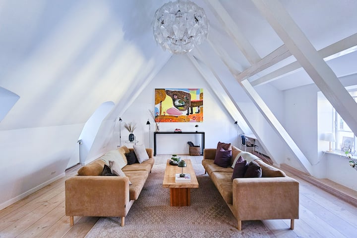 Exclusive And Central - Private Roof Top Terrace! - Copenhagen