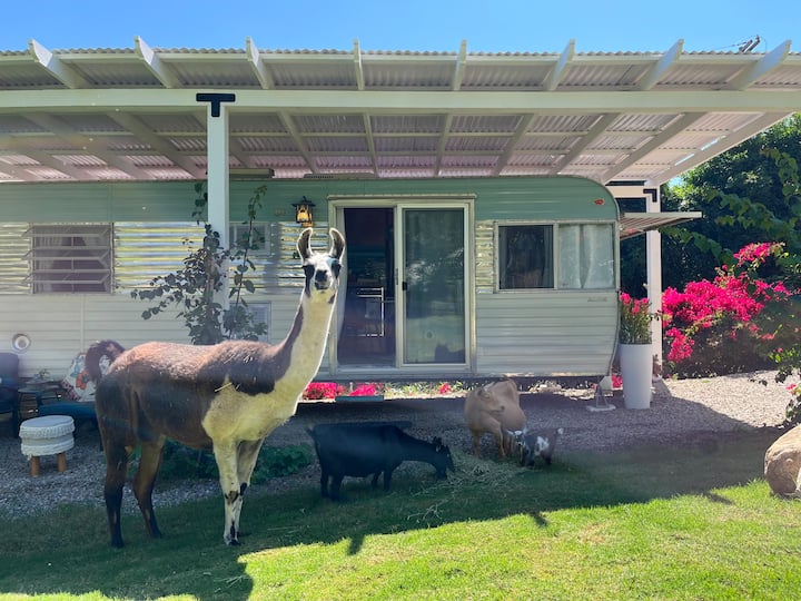 1966 Vintage 30’ Trailer At Ww Mini Ranch - Bonsall, CA