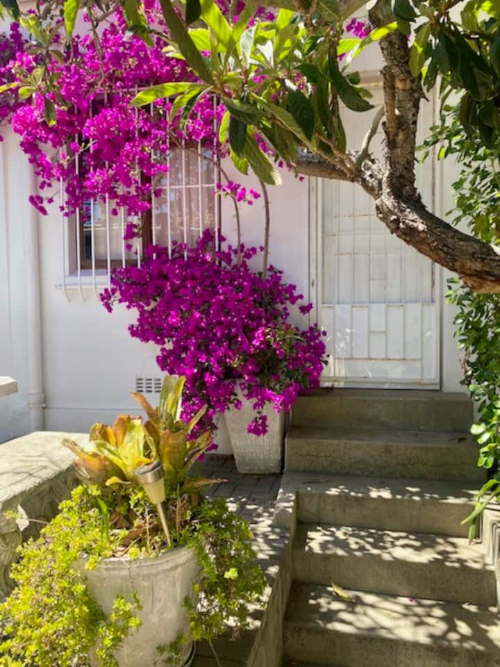 Affordable ,Private Cottage ,Heart Of Sea Point , - Kapstadt