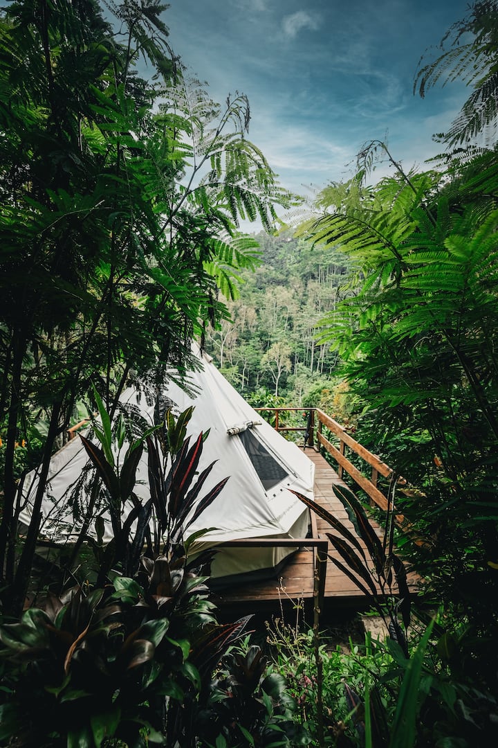 Desa Eko - Mountain View Tent - Munduk