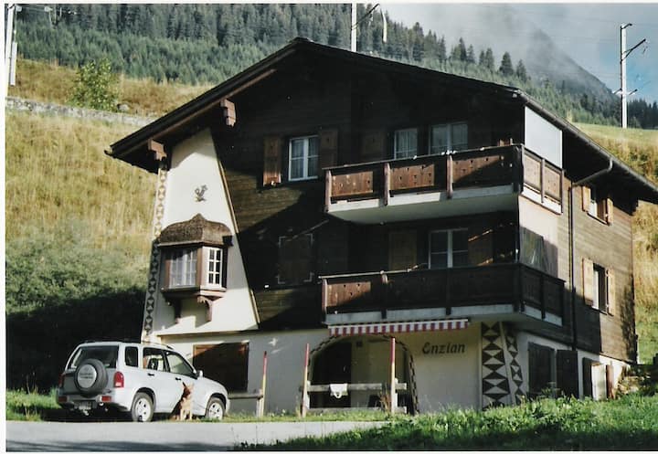 Casa Enzian - Skiarena Sedrun Andermatt - Andermatt
