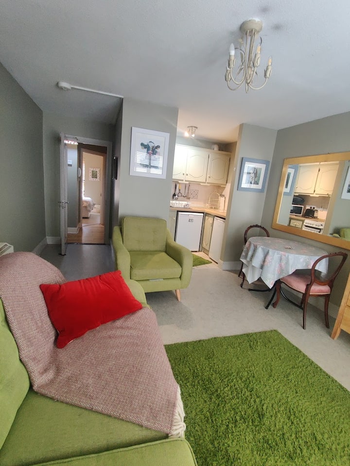 2 Bedroom In The Heart Of The City - Kilkenny