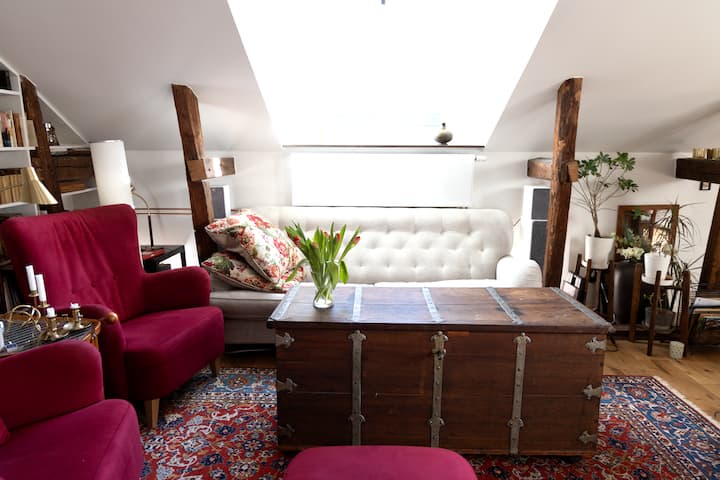 Amazing Penthouse 130 M2 In The Heart Of Södermalm - Stockholm