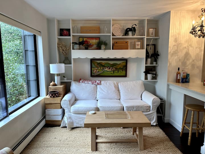 Cozy Downtown Aspen Studio - Aspen
