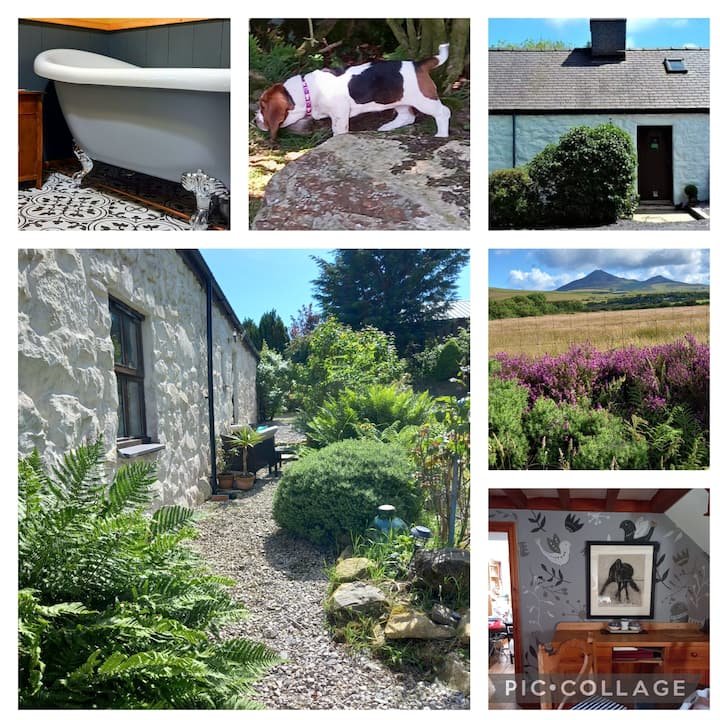 Unique Private Suite With  Breakfast. - Pwllheli