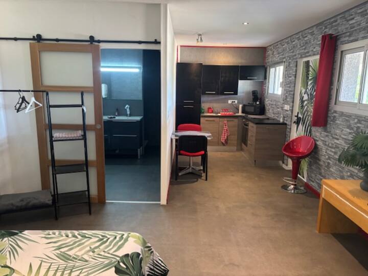 Grand Studio Avec Terrasse Et Parking Privatifs - Vauvert