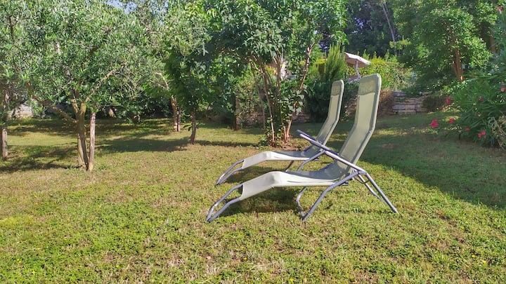 House With Olive Grove - Medulin