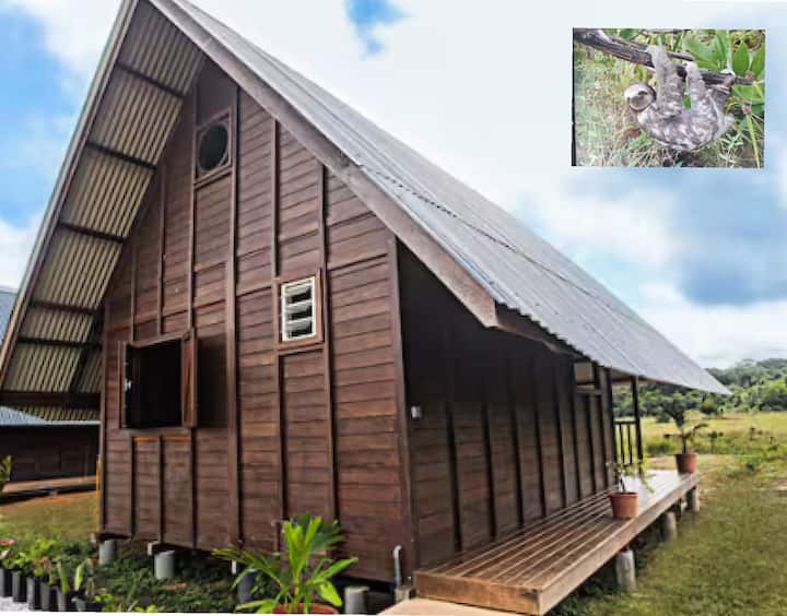 Carbet-gite Des Sources "Le Paresseux" - Guyane française
