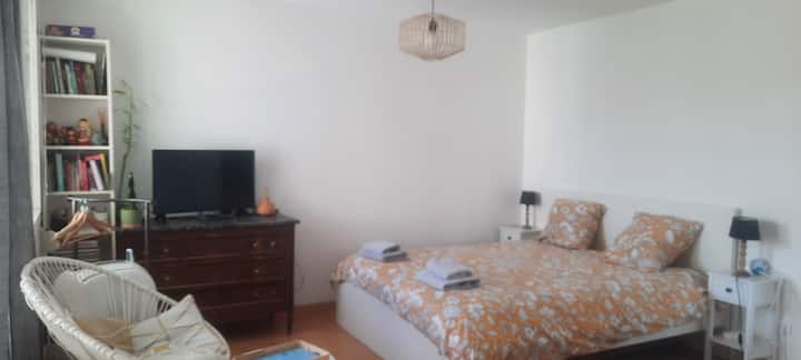 Studio Au Calme Avec Entrée Privée - La Confluence - Lyon