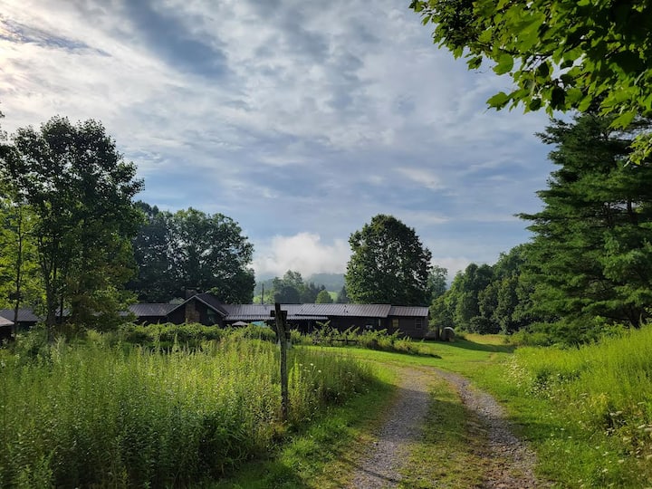 White Oak Acorn – Botanical Sanctuary – Room 2 - Beartown State Park, Renick