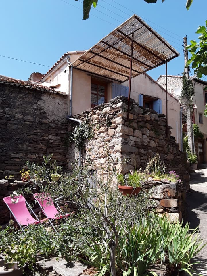 Le Cocon Du Caroux - Olargues