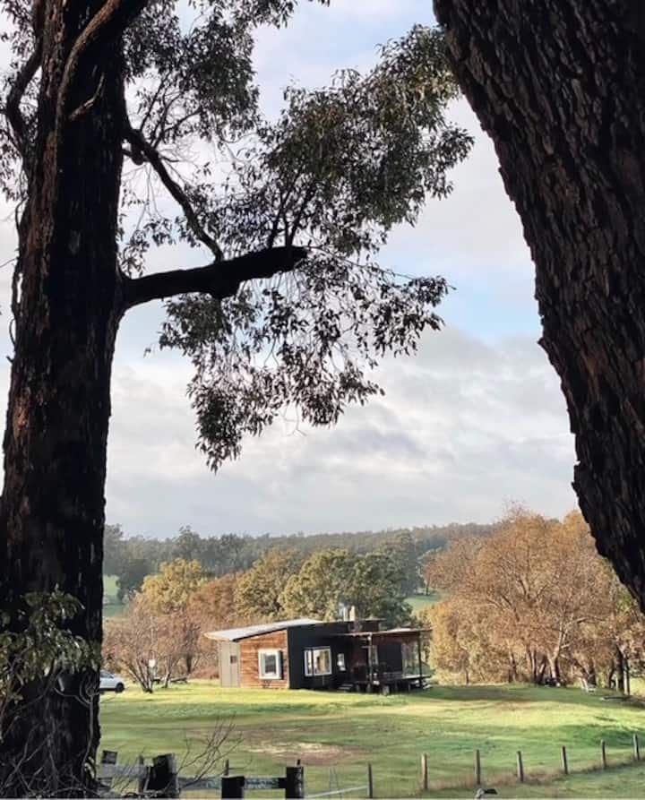 🌱 Forest Edge Cabin - Tranquil Bush Retreat - Bridgetown