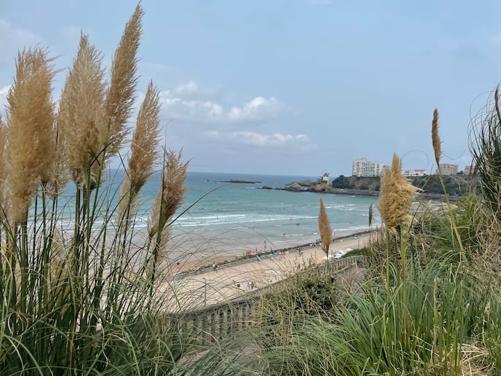 Biarritz Maison De Ville *** Côte Des Basques - Biarritz