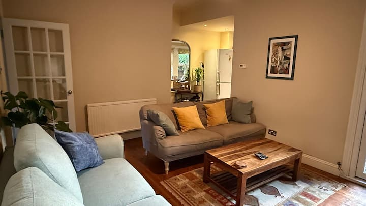 One Bedroom Flat (Brixton/clapham) - London