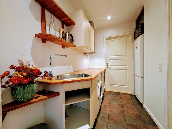 Apartment With Kitchen And Bath - Odense