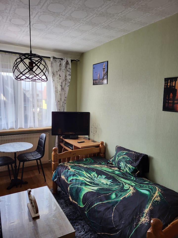 Studio De 20 M² Avec Petit Jardin - Colmar
