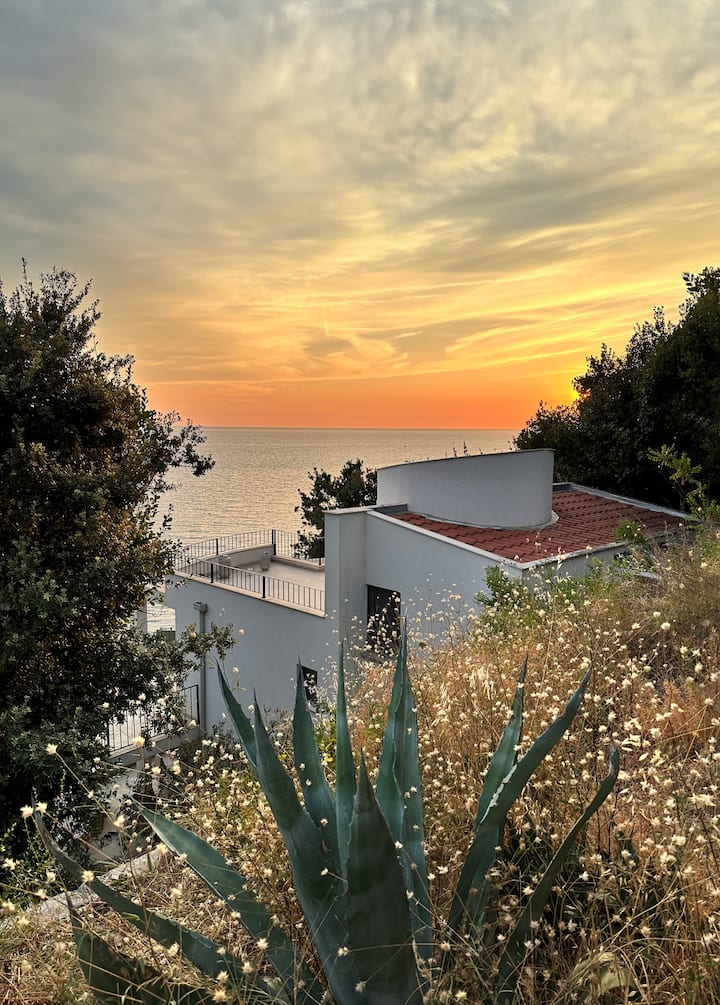Villa Limore: Pieds Dans L’ Eau Avec Jardins - Montenegro
