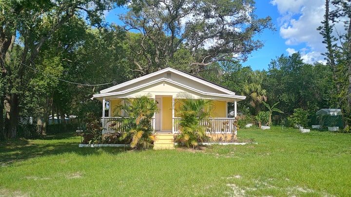 Springs Bungalow - Tampa, FL