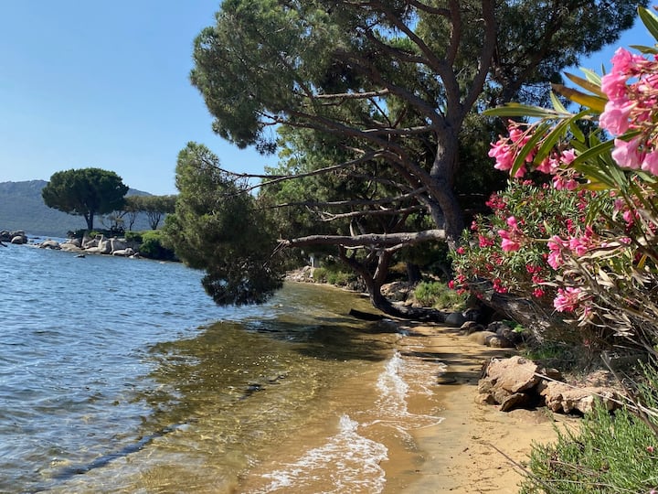 Mini-villa Duplex Au Bord De L'eau 3 Km P. Vecchio - Porto-Vecchio