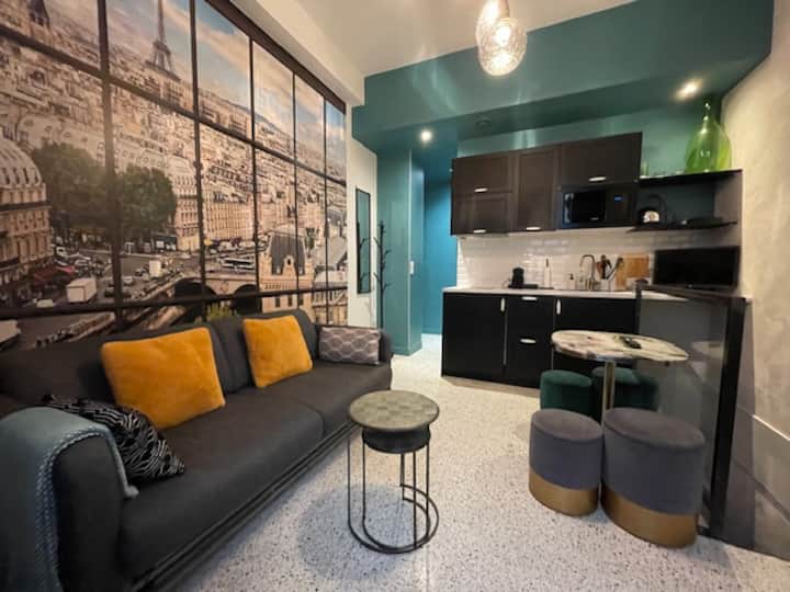 Rue Pétion, Métro Voltaire, Avec Air Conditionné - Paris